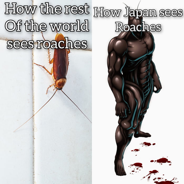 Weird how evolution works - 9GAG