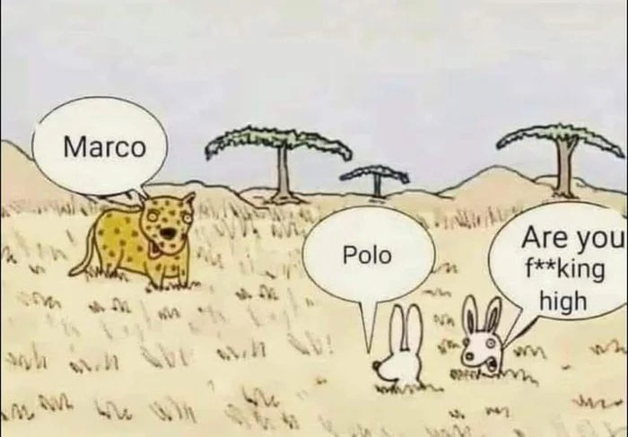 Dumb friends consequences - 9GAG