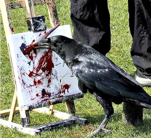 Loki the Crow painting at the Audubon Nature Center. - 9GAG