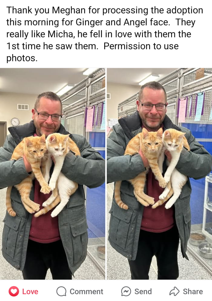 This man's face after adopting two cats - 9GAG