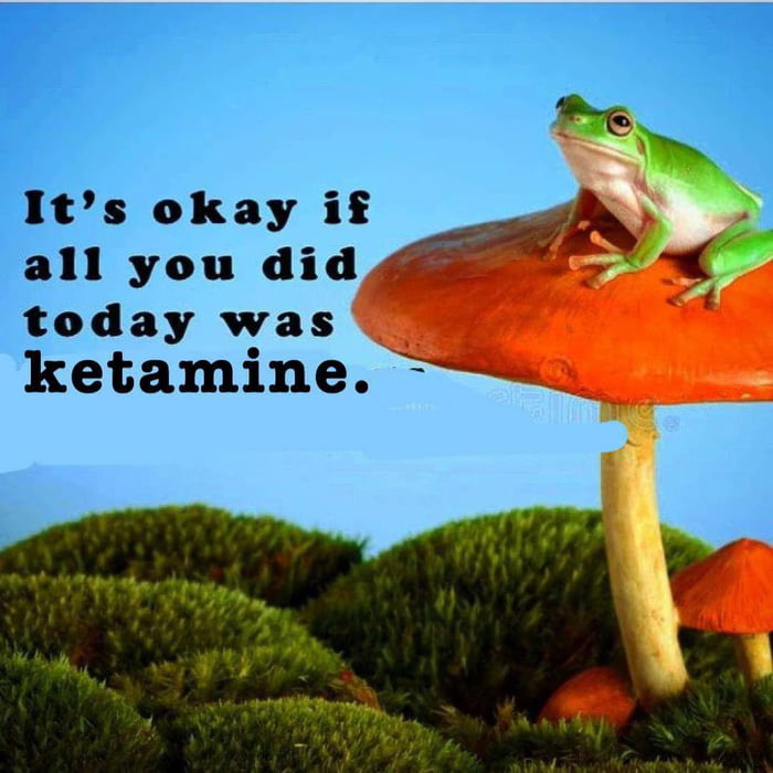 Druggie meme #12 even with a frog bcs traditions - 9GAG
