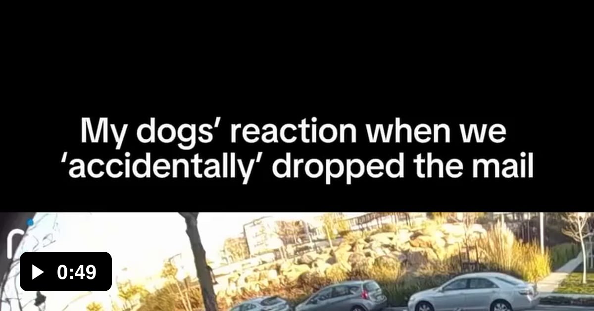 How did they know what to do - 9GAG