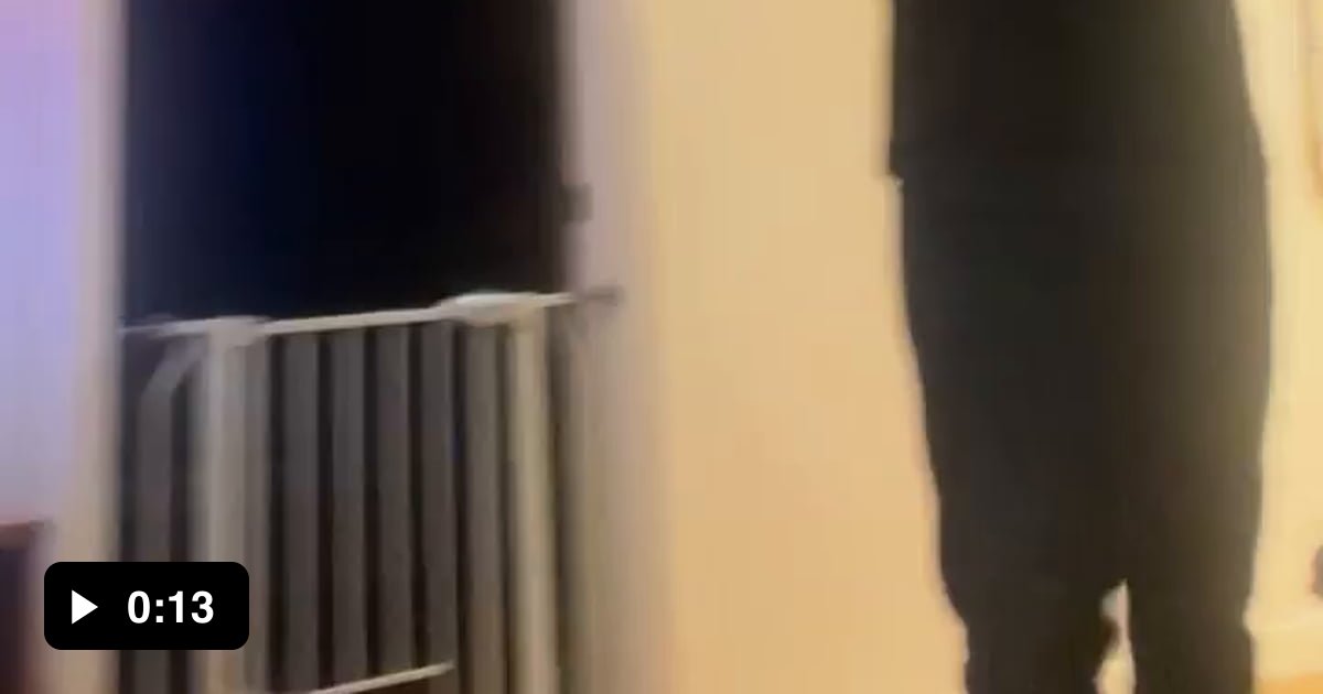 Cat Defies Gravity - 9GAG