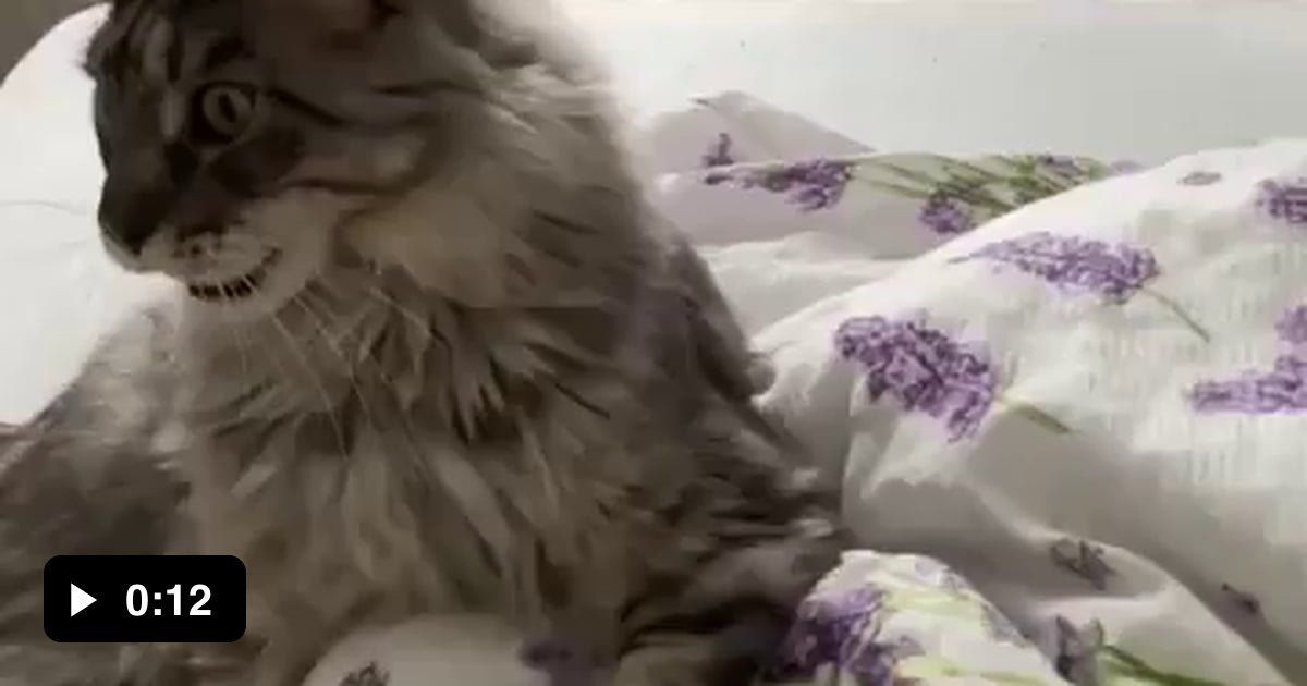 Ahhh ha ha ha - 9GAG