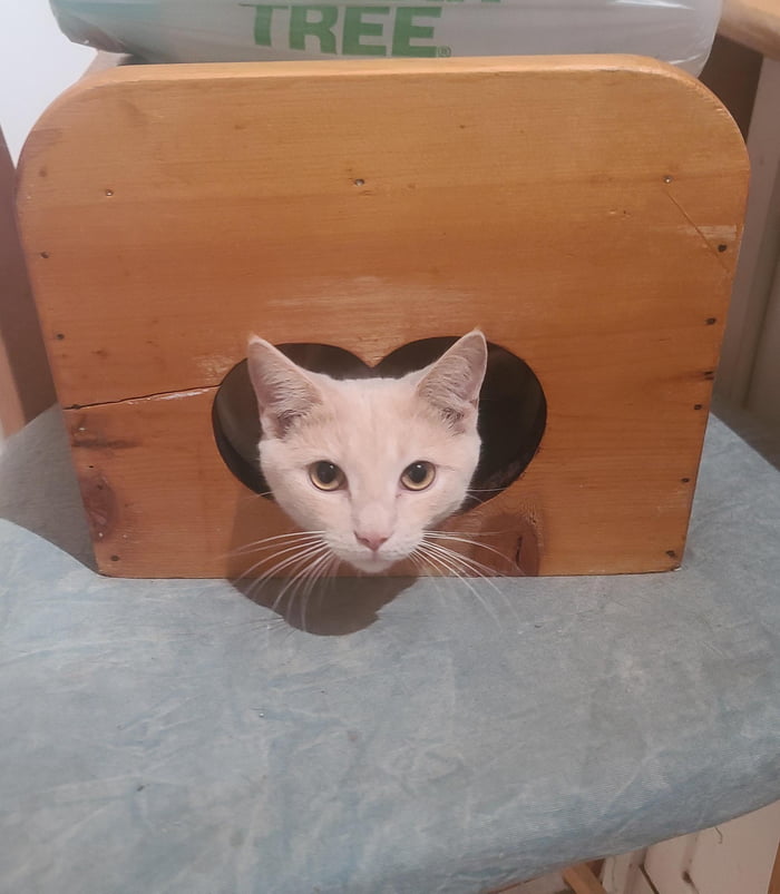 Straight from the cuddle factory - 9GAG