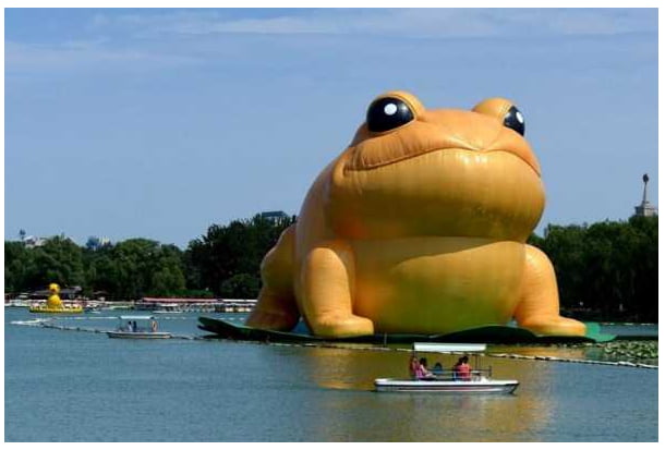Of an inflatable frog - 9GAG