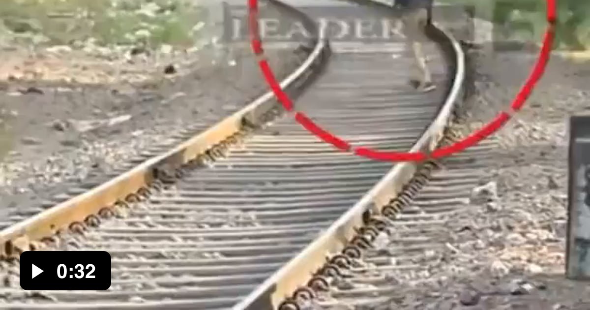 Man tries to stop train while standing on tracks, gets slapped by loco ...