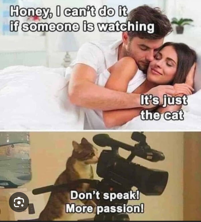 That goddamn cat. - 9GAG