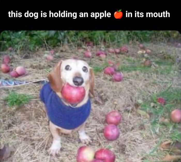 Wow, truly groundbreaking observation. - 9GAG