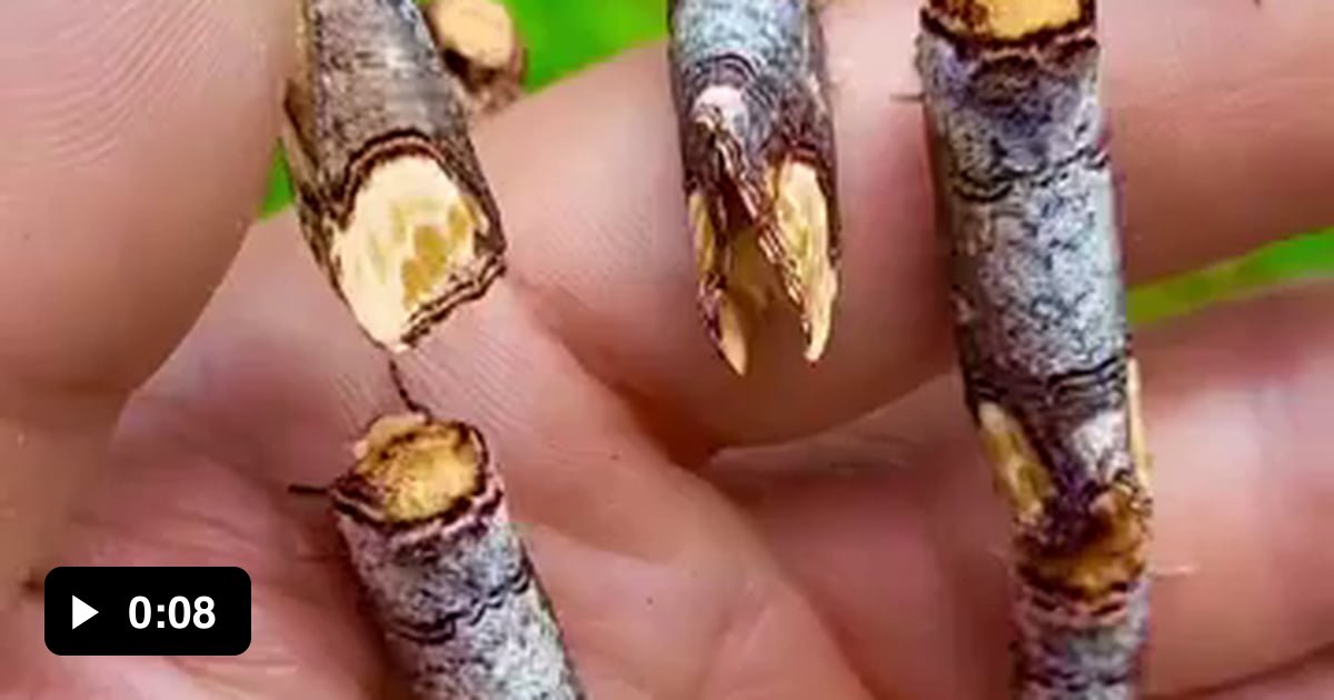 And the beauty of creation 😍 - 9GAG