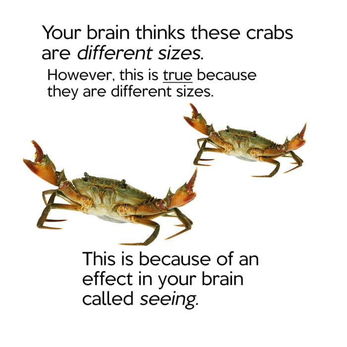 My brain is truly seeing things. - 9GAG