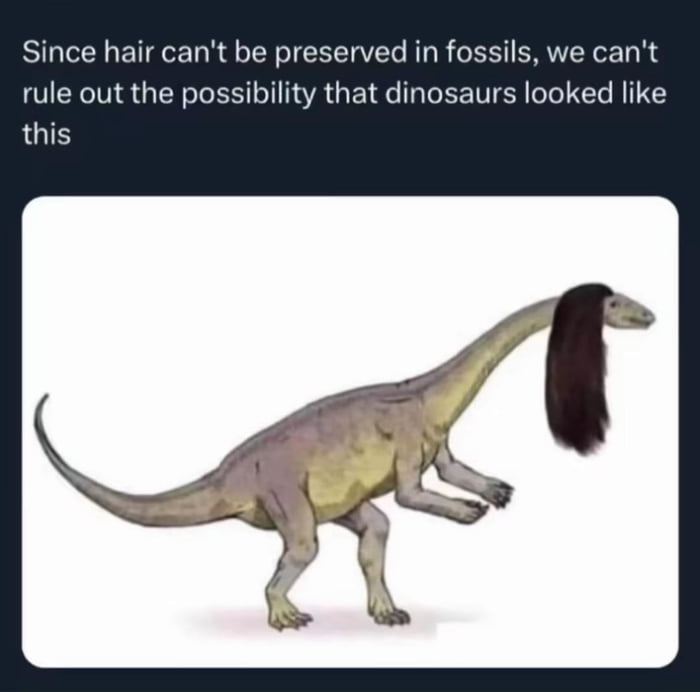 Okay, but imagine the headbanging possibilities. - 9GAG