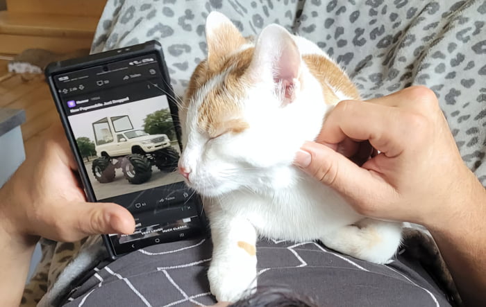 Chilling life - 9GAG