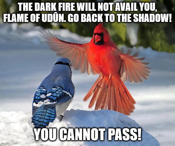 Nature's epic showdown - 9GAG