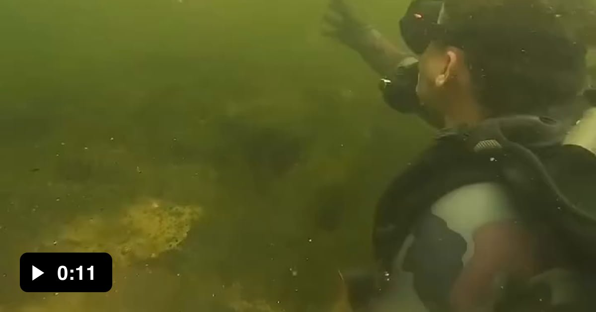 Diving hobbies - 9GAG