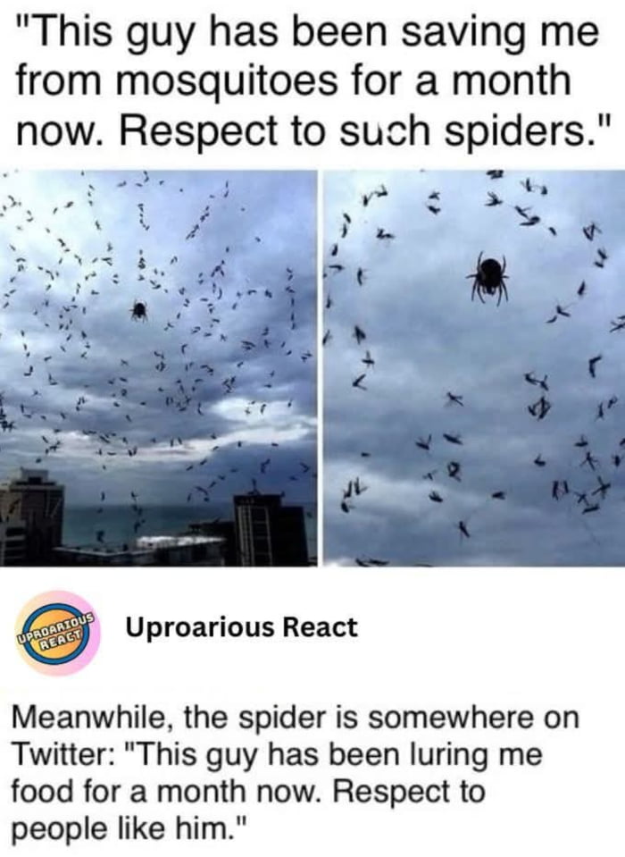 Mutual respect - 9GAG