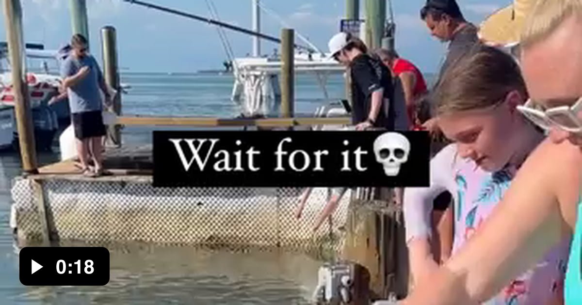 There's always a bigger fish - 9GAG