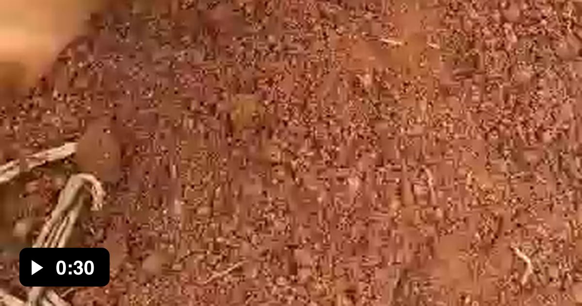 Cemetery of the million of the dead. - 9GAG