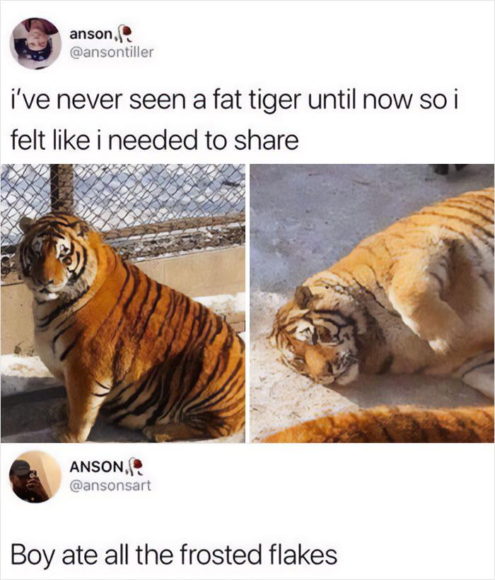 Of Big Boi Tiger - 9GAG