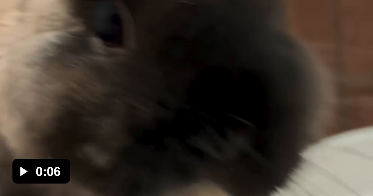 Furry villain - 9GAG