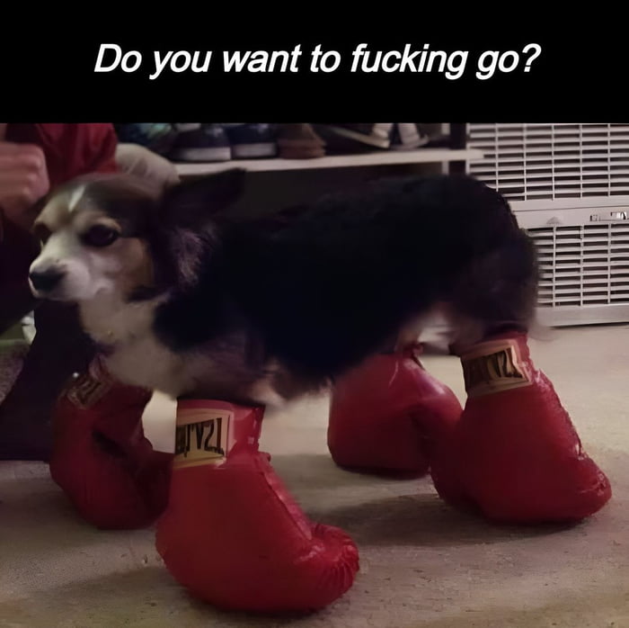 How bout it then?! You want some or what?! - 9GAG