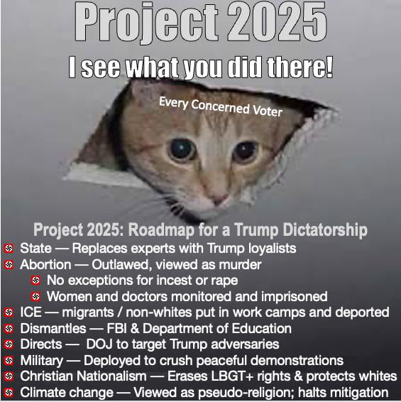 Key Horrors Revealed! Ceiling Cat Surfaces from Heritage Foundation's Project 2025 Screed! - 9GAG