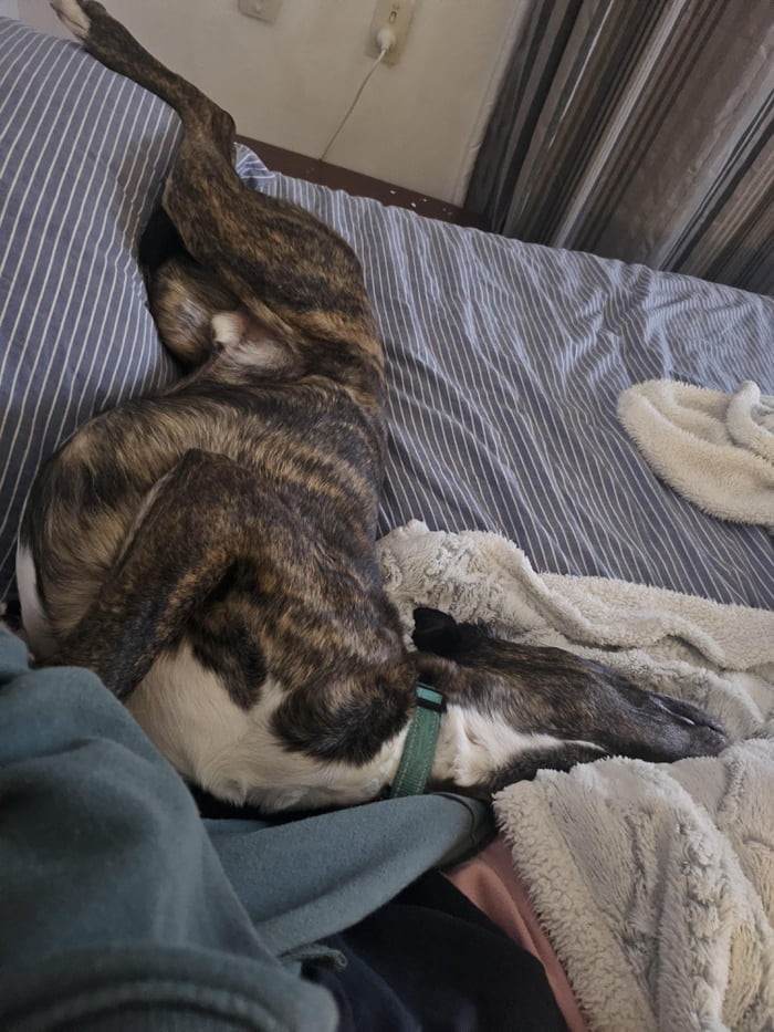 Will he be OK? - 9GAG