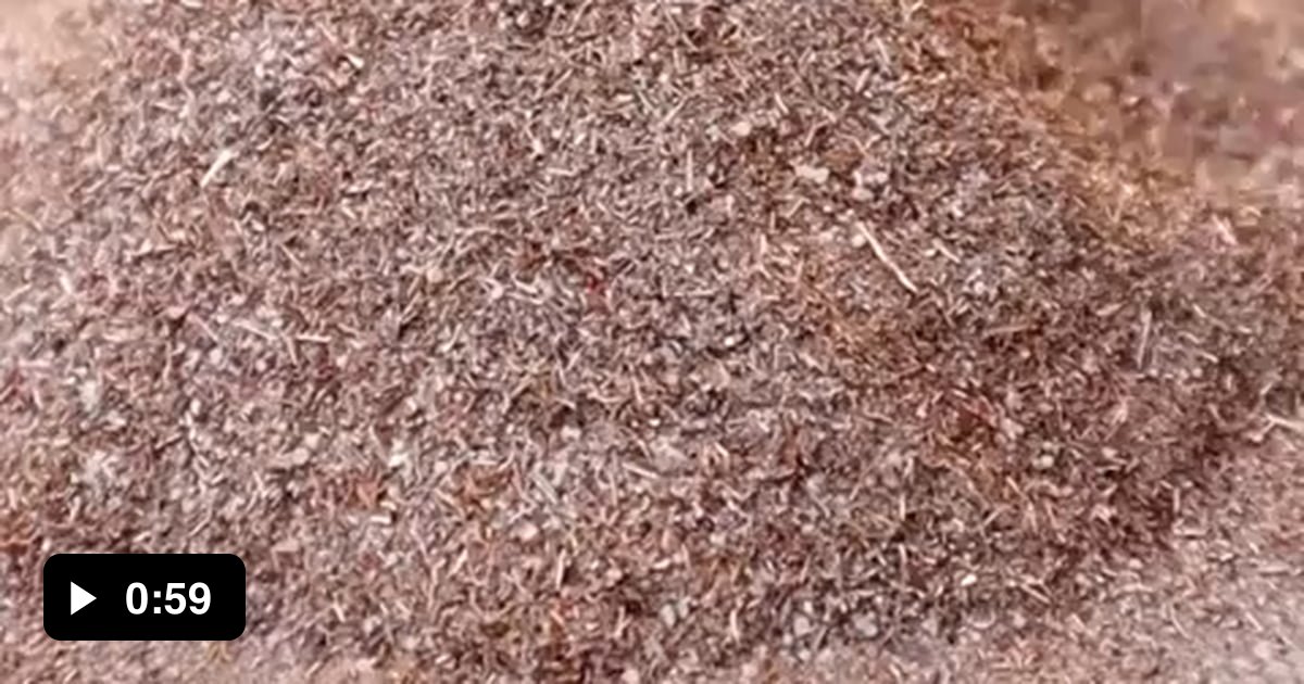 Melting bronze dust into knuckle dusters - 9GAG