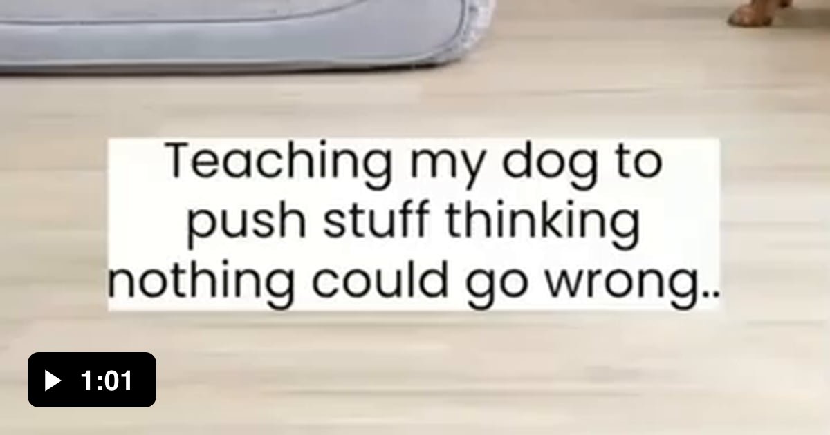 Dog learns how to push stuff - 9GAG