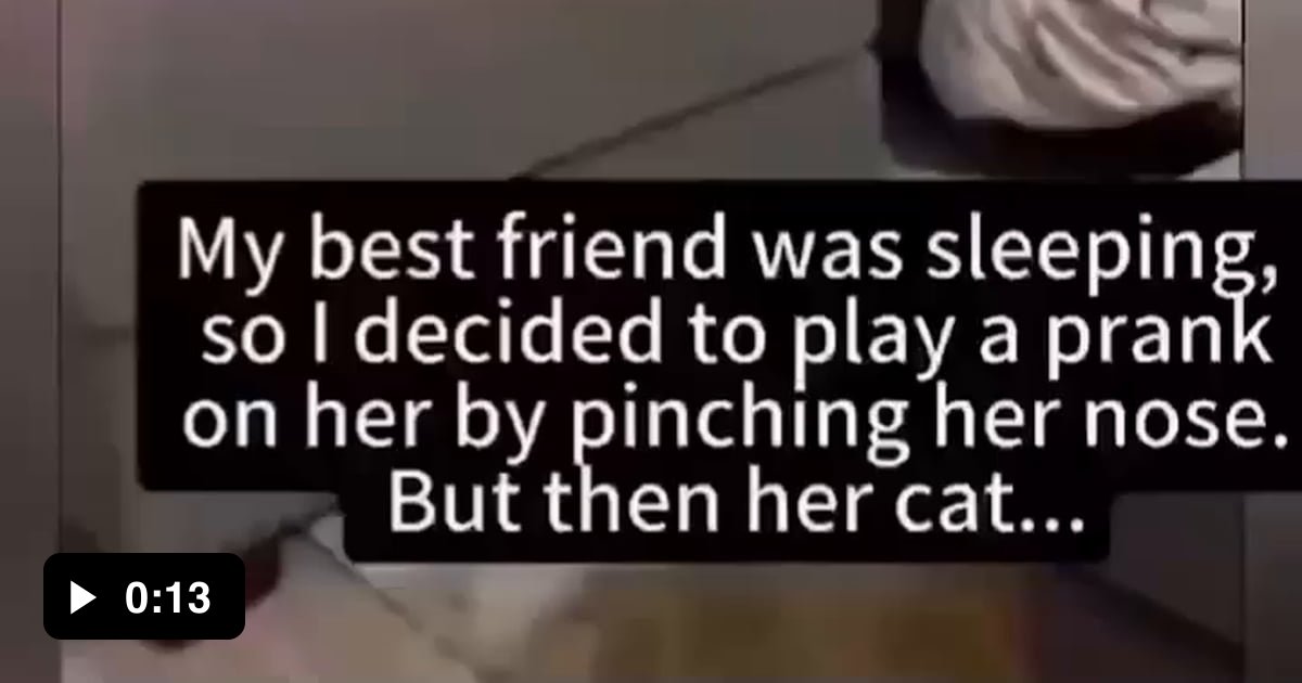 He protects her sleep - 9GAG