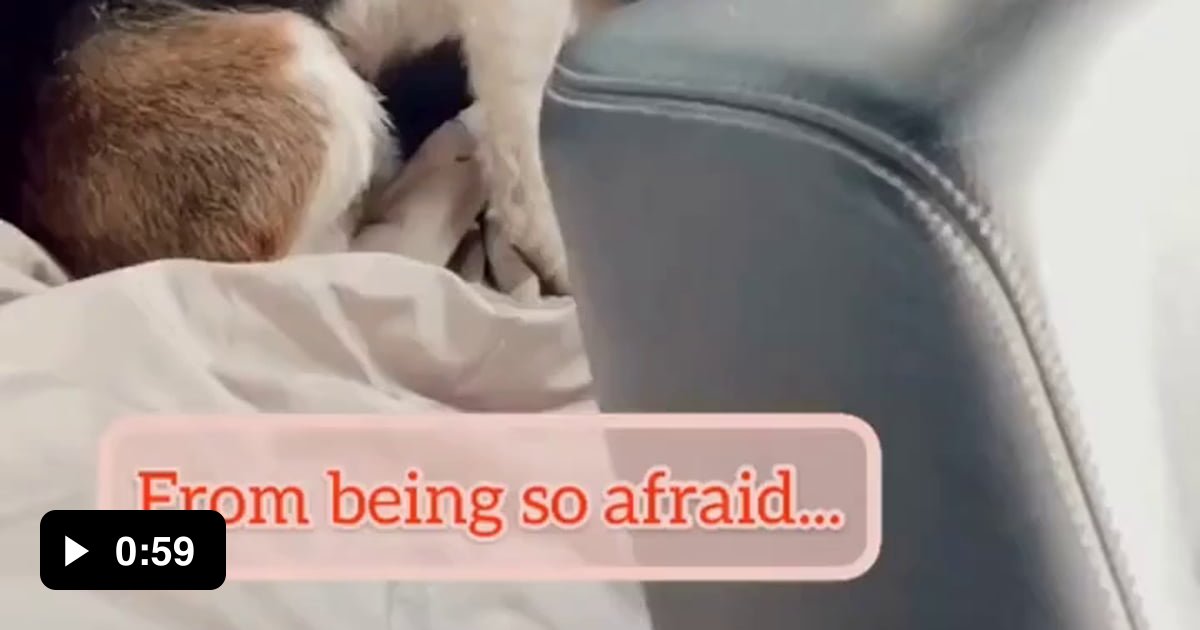 Curing trust issues with love - 9GAG