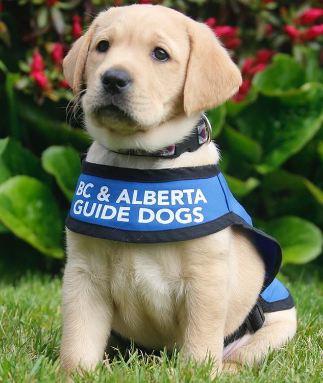 So small but so helpful... - 9GAG