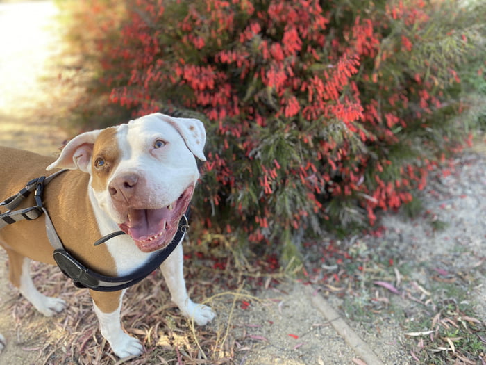 Everyone, this is Hazel... Hazel, this is everyone 🥰 - 9GAG