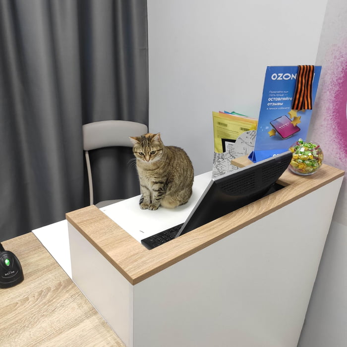 Fluffy office worker - 9GAG