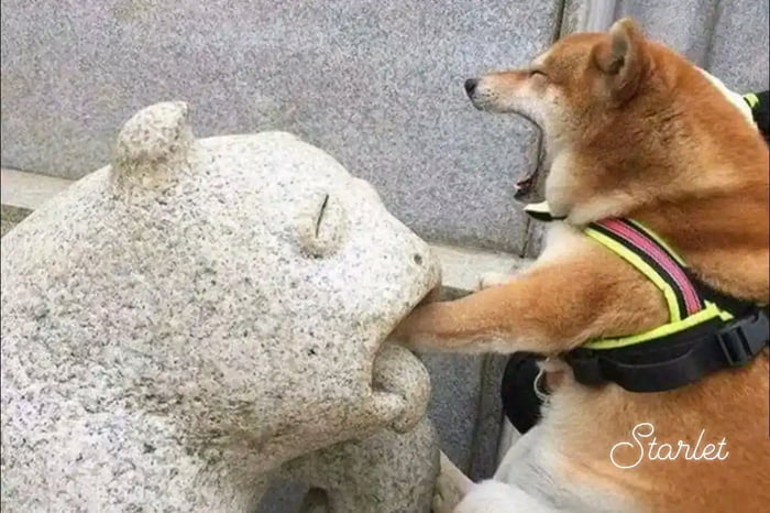 Perfect timing pictures - 9GAG