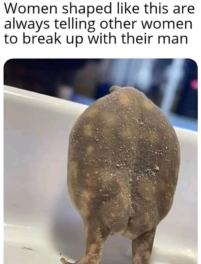 The most jealous and narcissistic creatures. - 9GAG