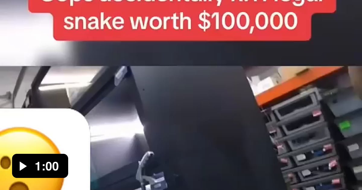 The States gonna fix it, it's just a Snake, chill dude, it's not like ...