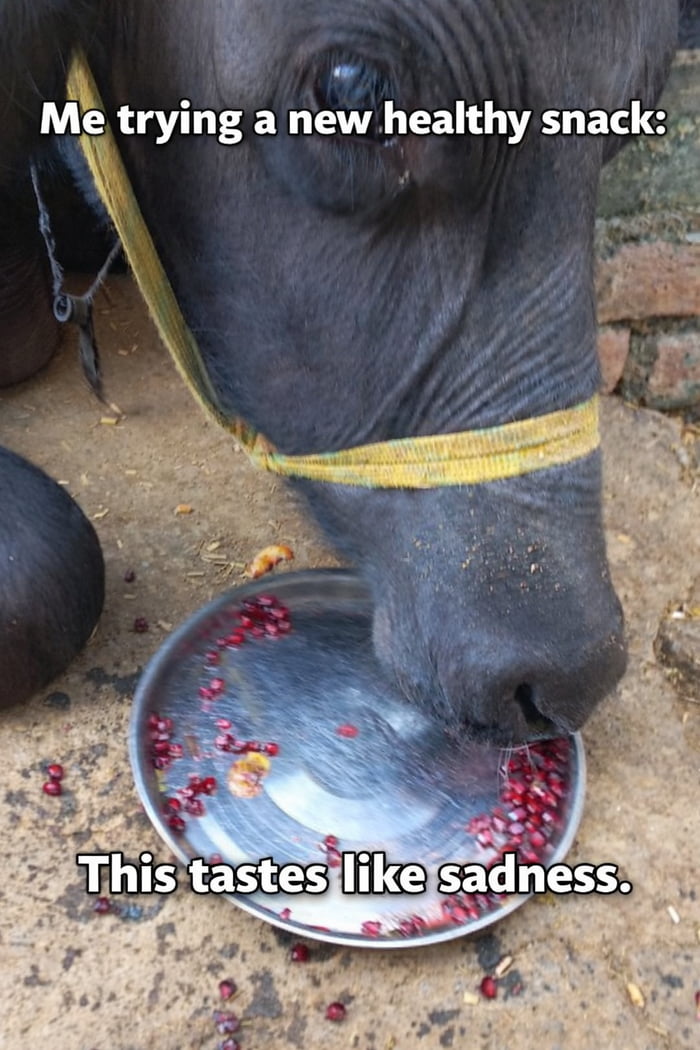 When you try to eat healthy but regret it instantly - 9GAG