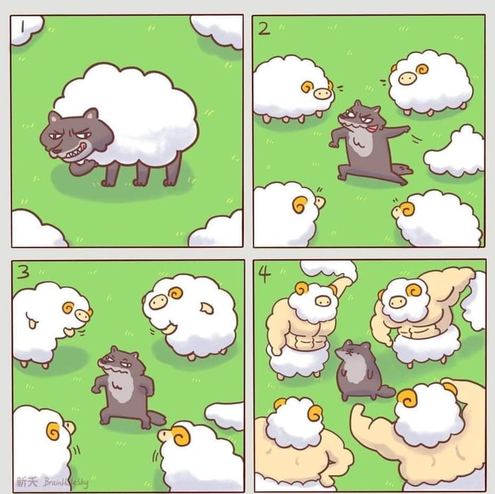 Even the strongest sheep needs to lift its own wool. No excuses, just gains! - 9GAG