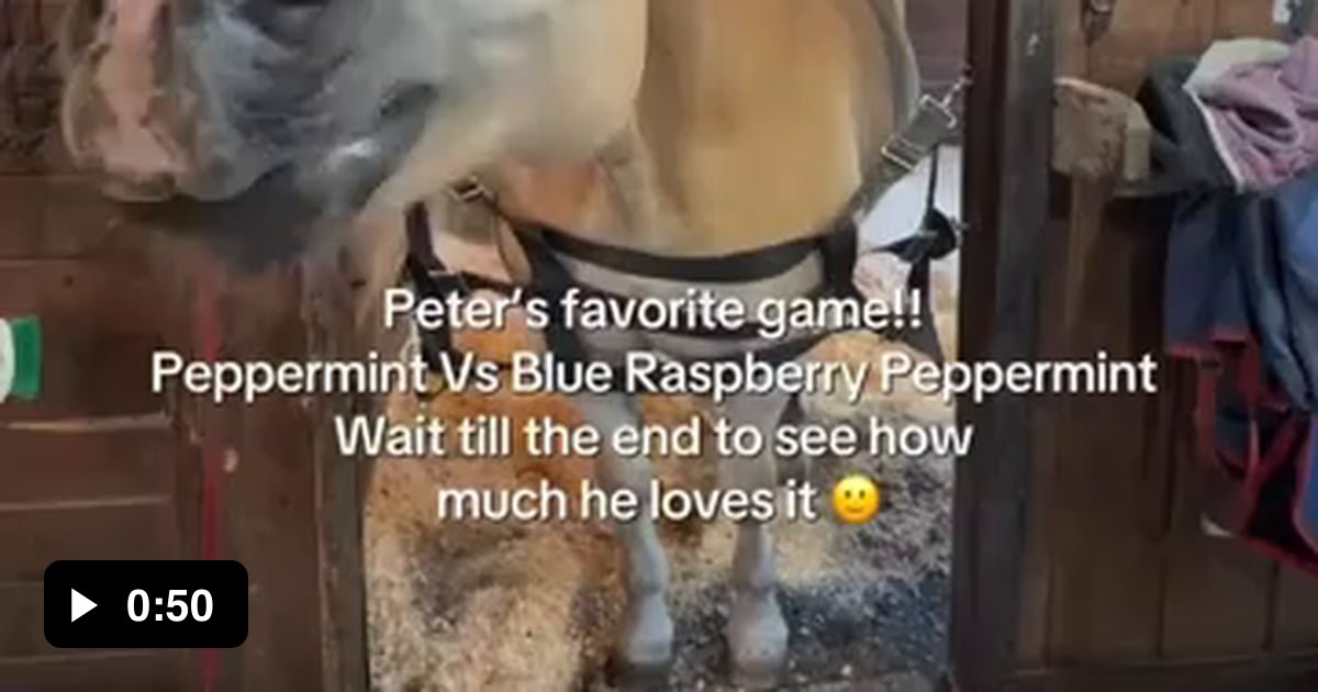 Peter picks a peppermint - 9GAG