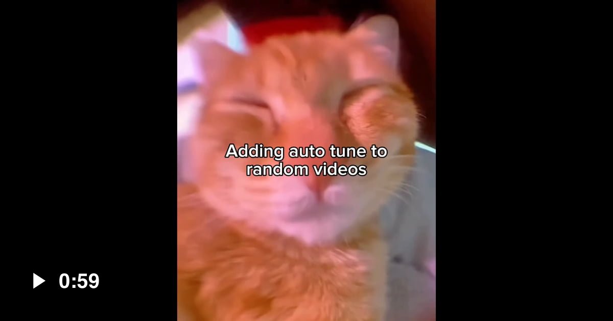 Autotuned cats are here to make your day... - 9GAG