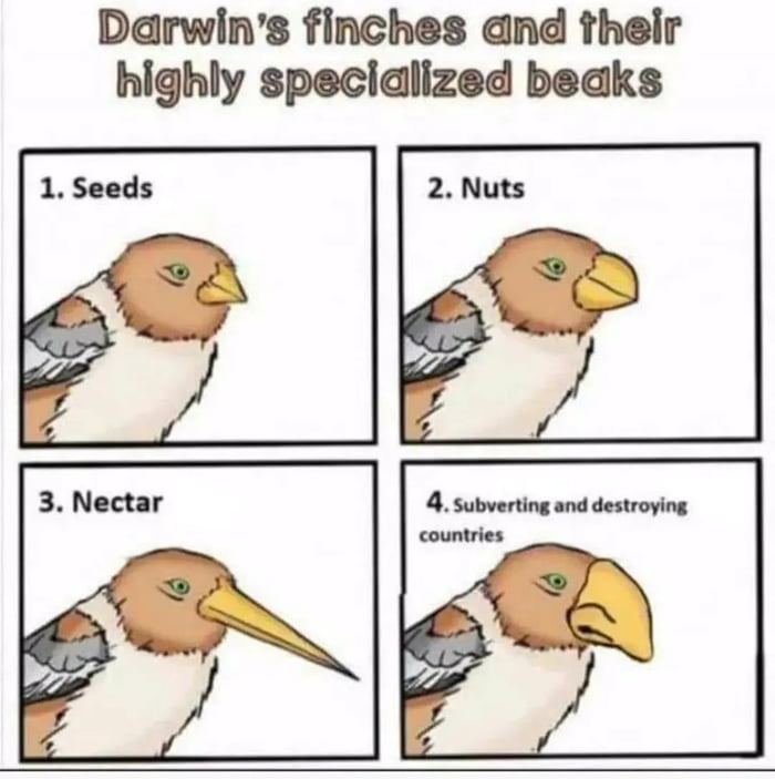 Interesting - 9GAG