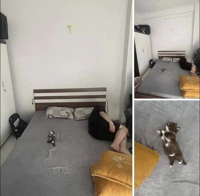 Of course they want the biggest bed - 9GAG