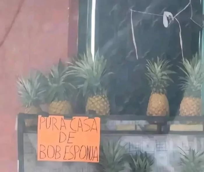 Ni mas ni menos - 9GAG