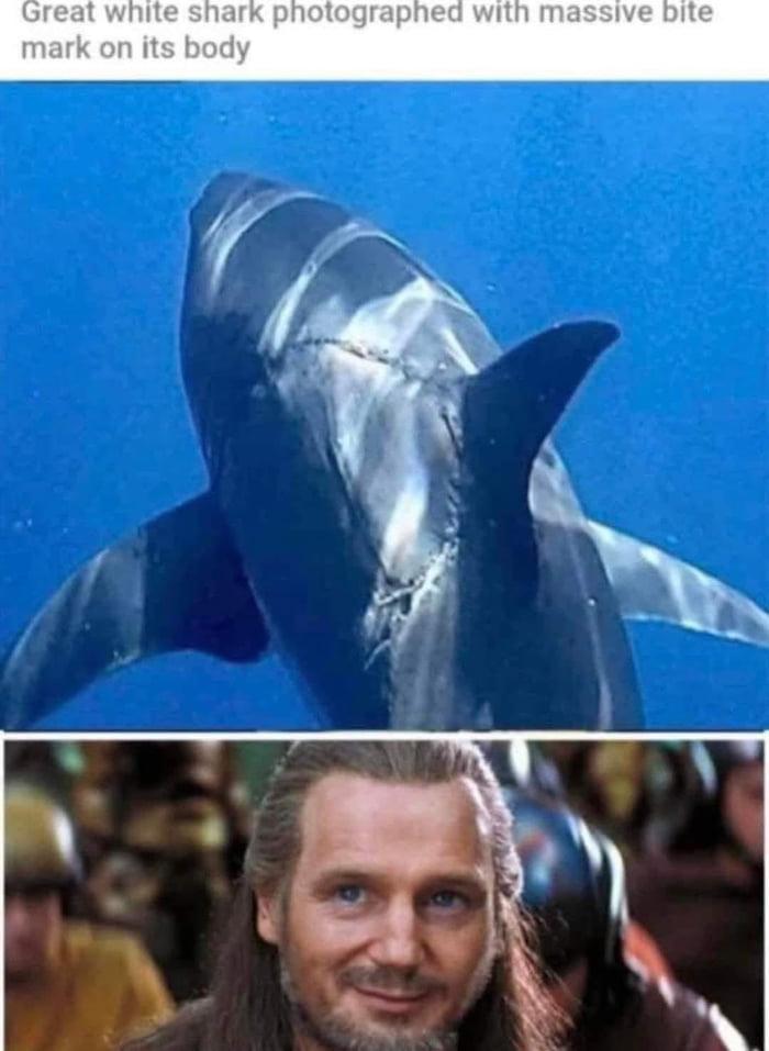 Hey yo, Daddy - 9GAG