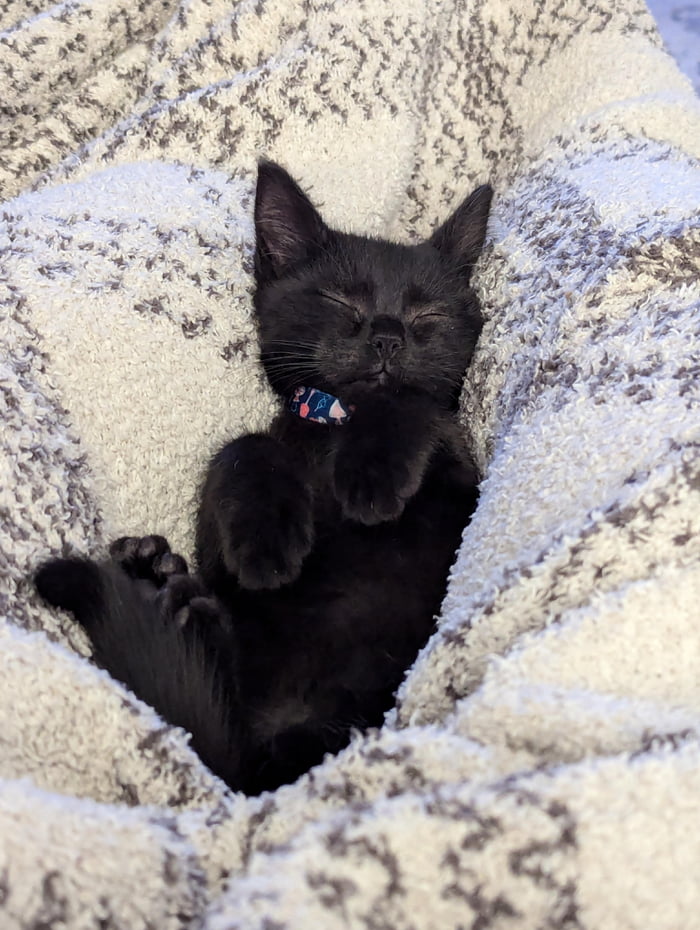 Sleepy smol void - 9GAG