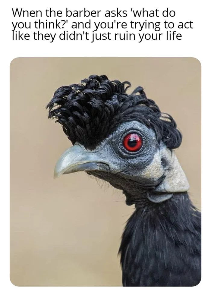 What's up with the Brocoli hair? Why do they all look the same ...am I getting Old?... damm, I ...