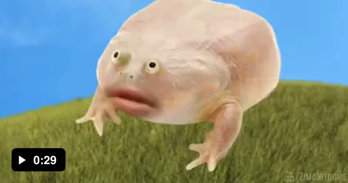 The day of druggie frogs and toads are upon us - 9GAG
