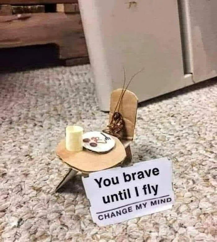 Cocky The Flying Cockroach - 9GAG