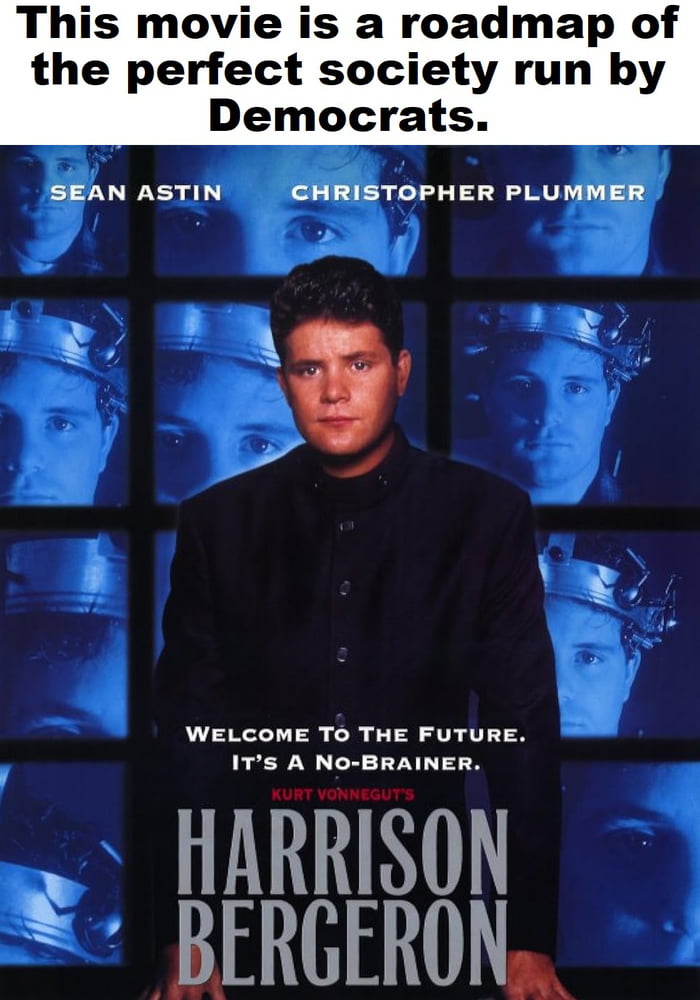 Perfect DEI Democrat Society - 9GAG